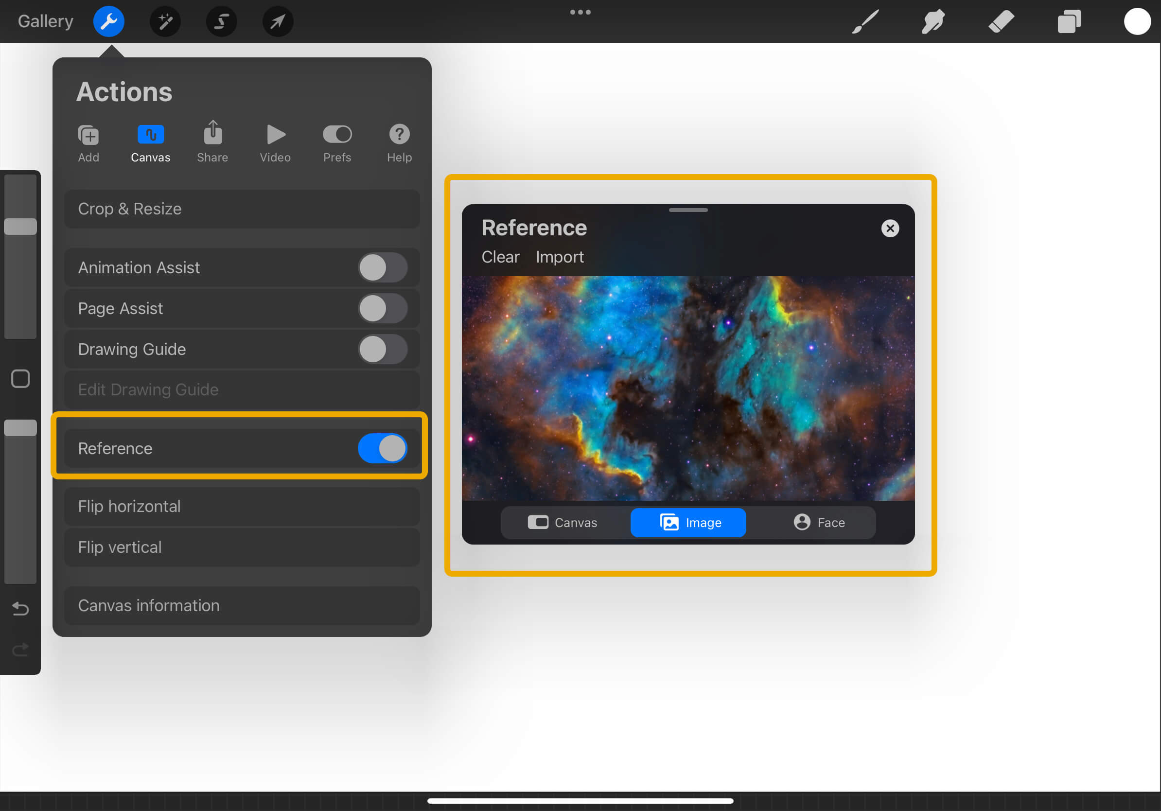 Procreate Tips for Beginners : Top 4 Mistakes To Avoid - 🖌️ Procreate.courses